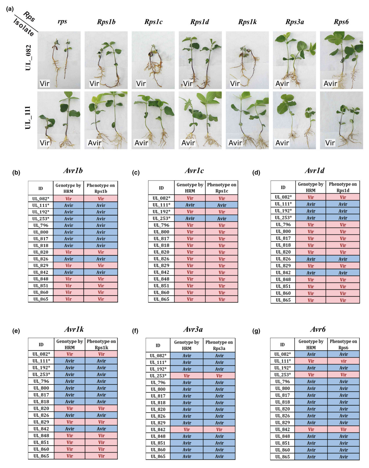 Original Paper in Mol Plant Pathol • B&eac...