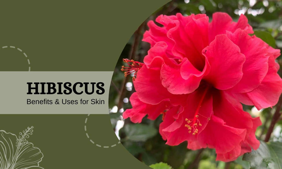 Top Benefits Of Hibiscus For Skin & H...