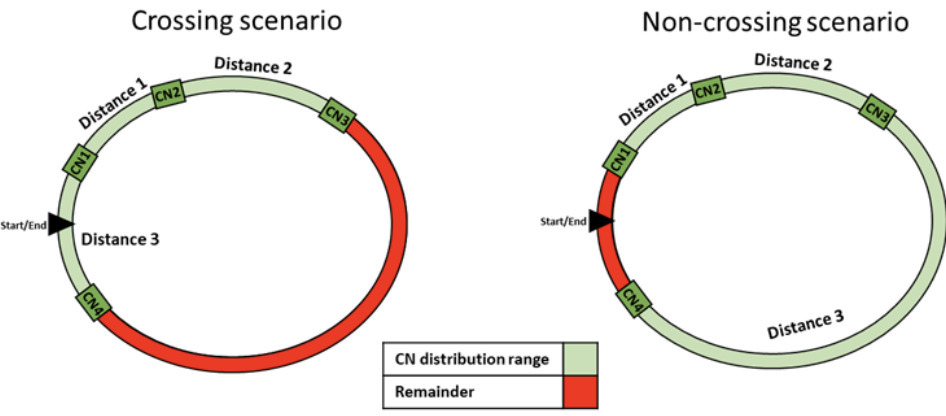 Distribution Patterns of rRNA Copy Number Repea...