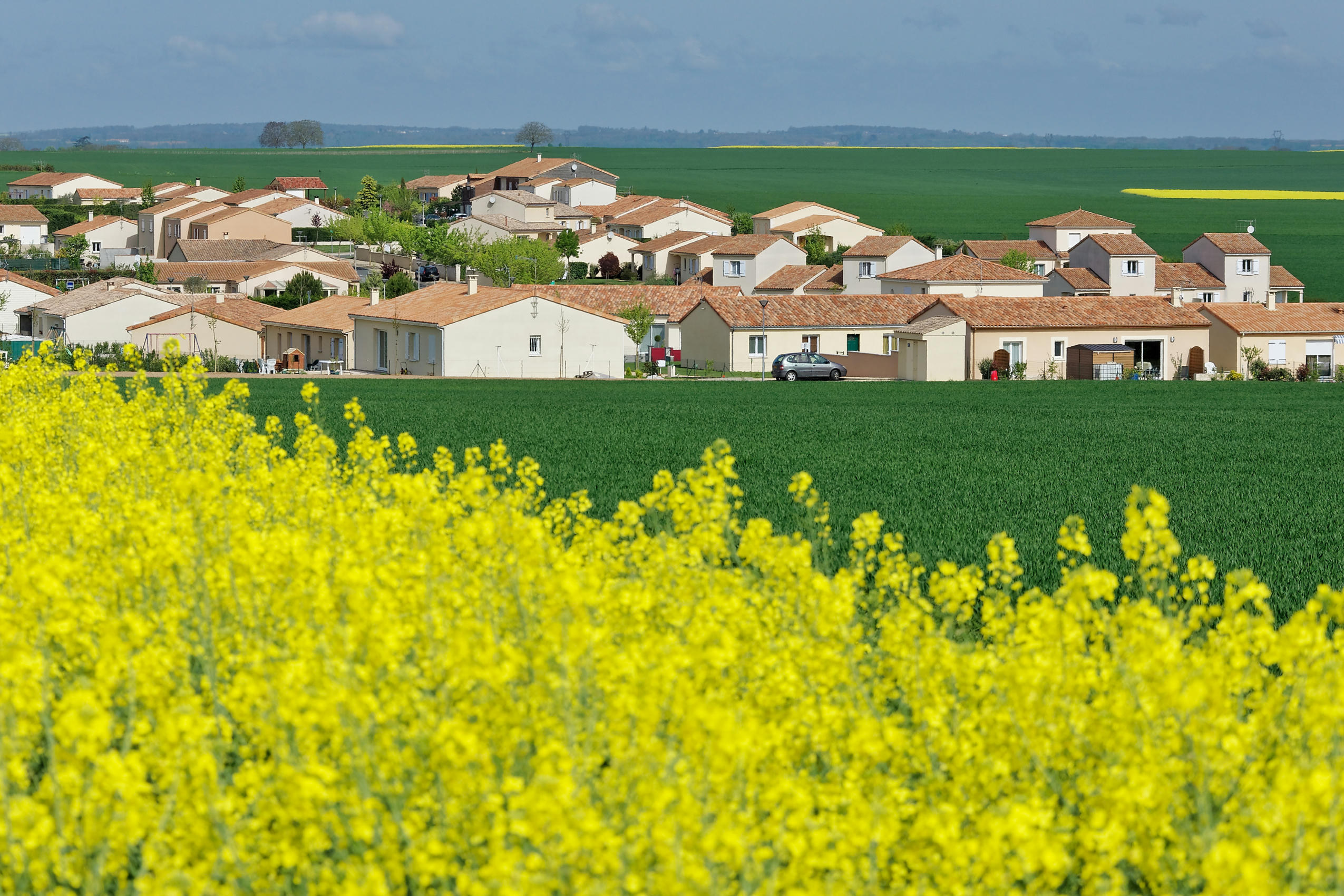 Artificialisation du sol : un rapport sur les d...