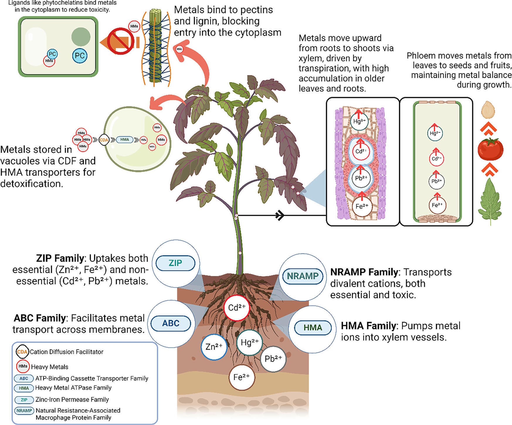 Microbial Interactions and Bacterial Responses ...