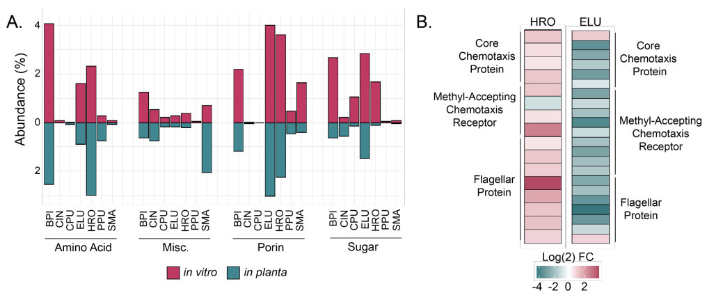 Differential metaproteomics of bacteria grown i...