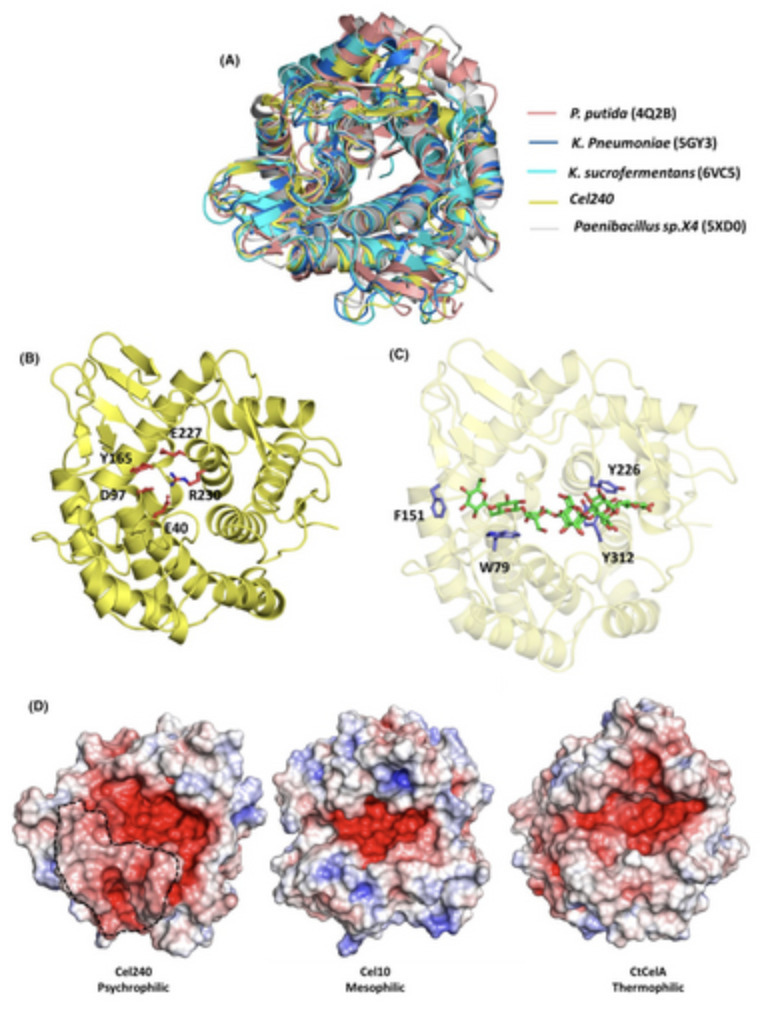 Metagenomic exploration of cold-active enzymes ...