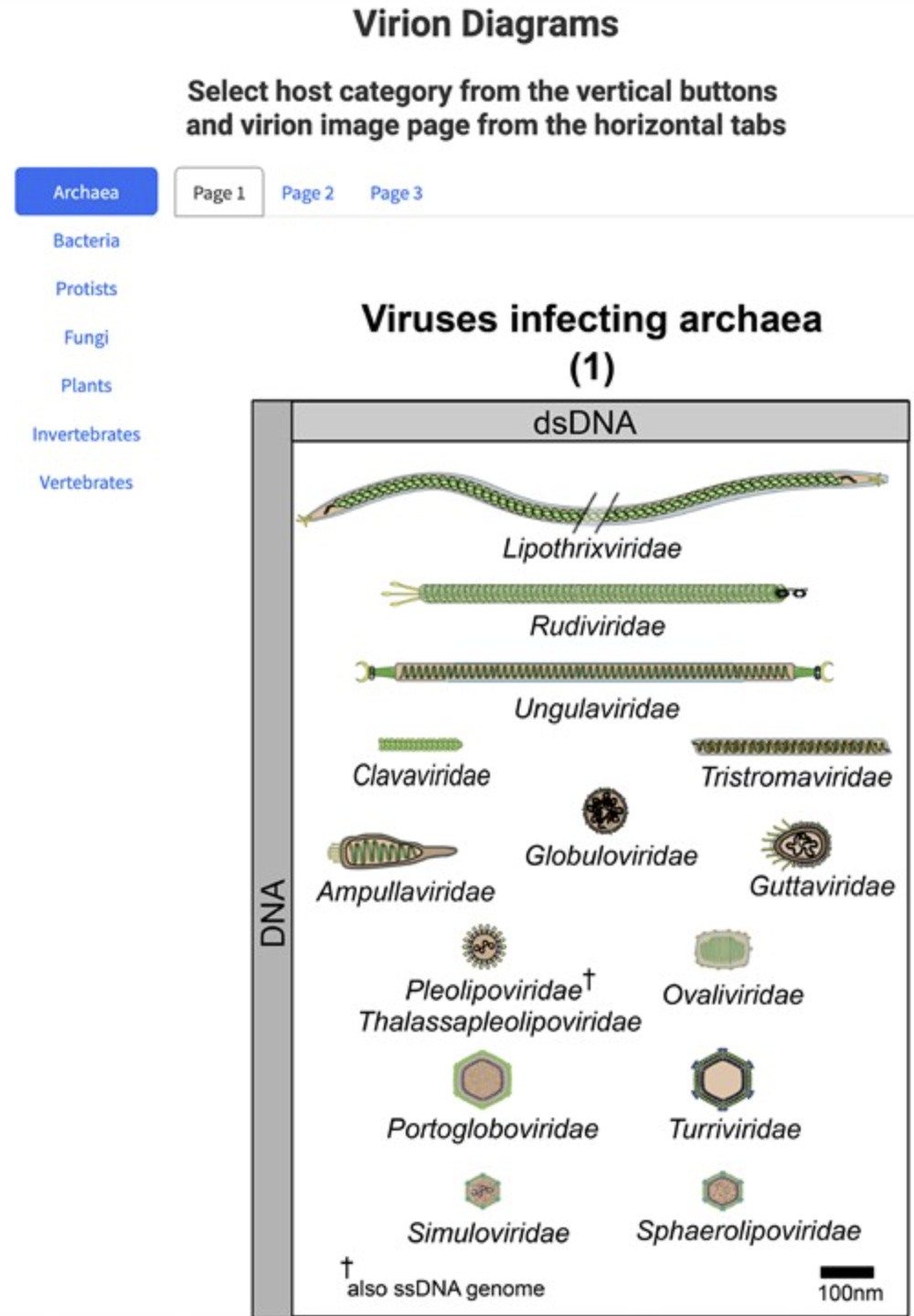 Virus taxonomy: the database of the Internation...