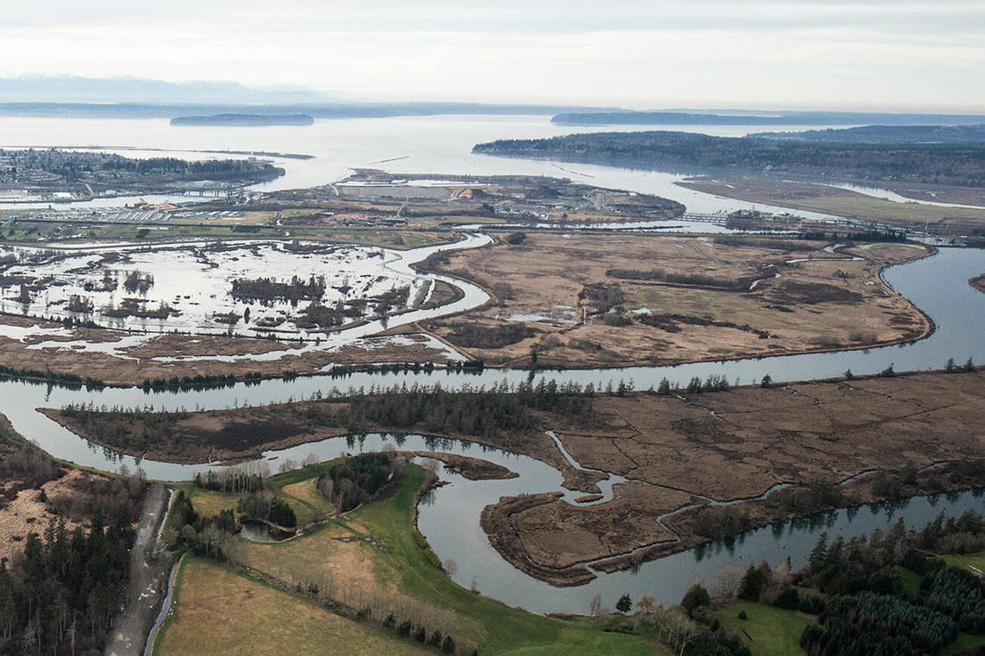 Puget Sound salmon habitat restored with tribes...