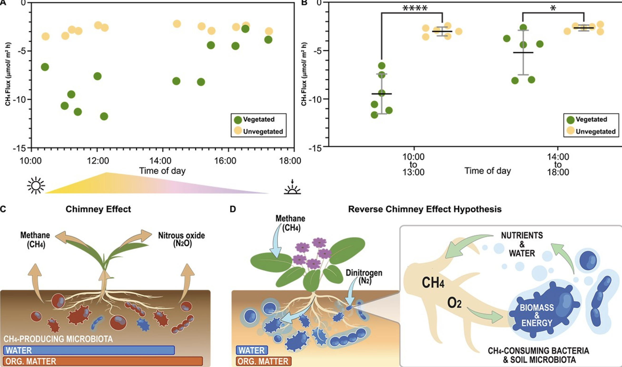 Atmospheric methane consumption in arid ecosyst...