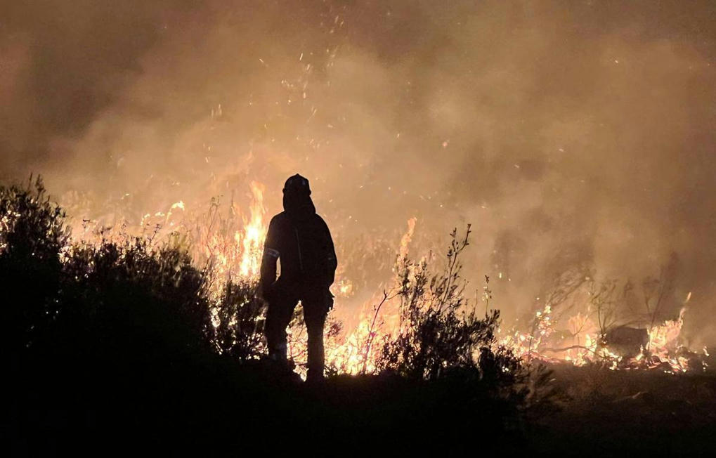 Incendies : Les feux de forêt ont g&...