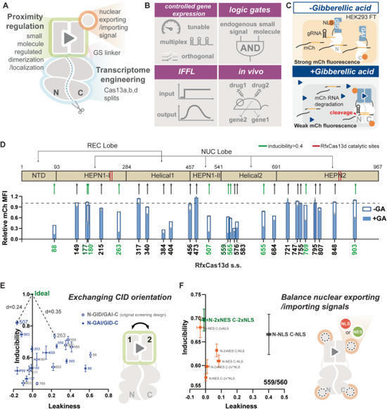 Orthogonal inducible control of Cas13 circuits ...