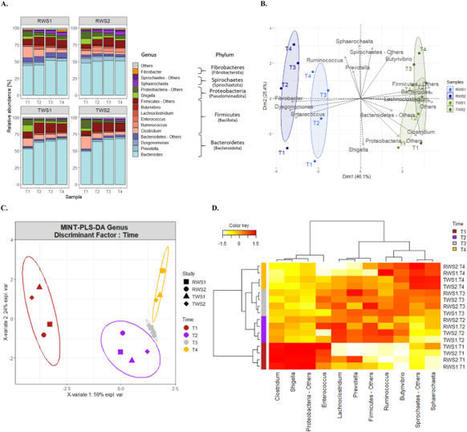 Horizontal metaproteomics and CAZymes analysis ...