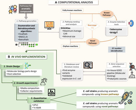 Computer-aided design and implementation of eff...