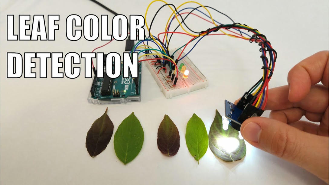 Leaf color detection with Arduino | Science Pro...