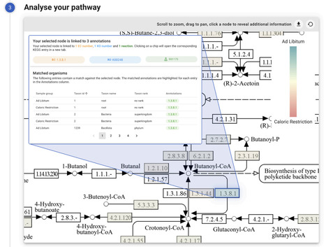 PathwayPilot: A User-Friendly Tool for Visualiz...
