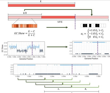 SkewIT: The Skew Index Test for large-scale GC ...