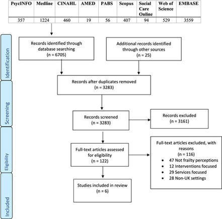 What are lay UK public perceptions of frailty: