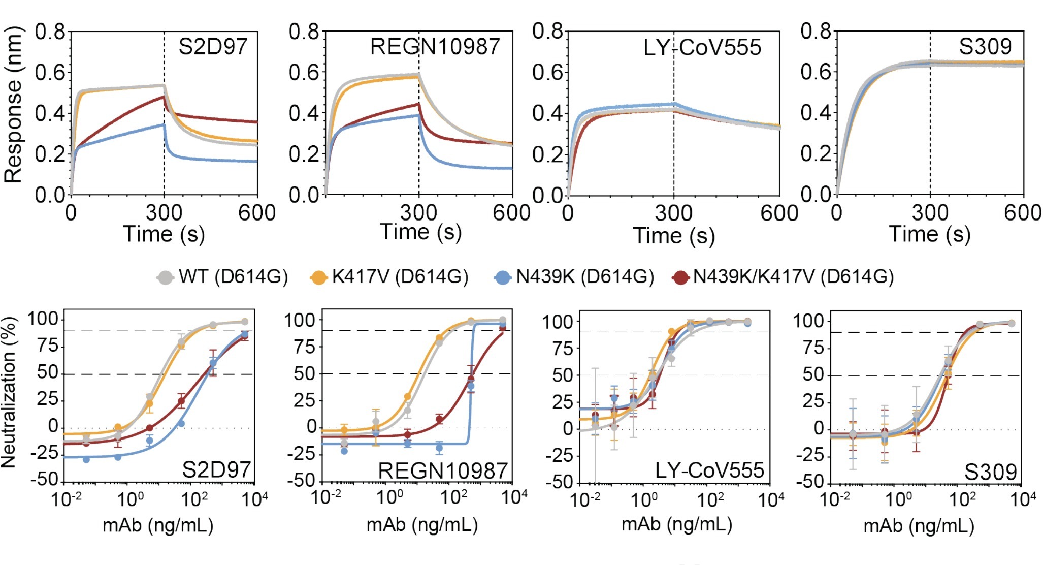 The Circulating SARS-CoV-2 Spike Variant N439K ...
