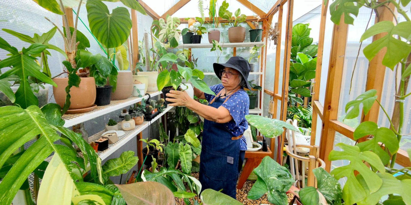 Build an Automated Gardening System With the Ra...