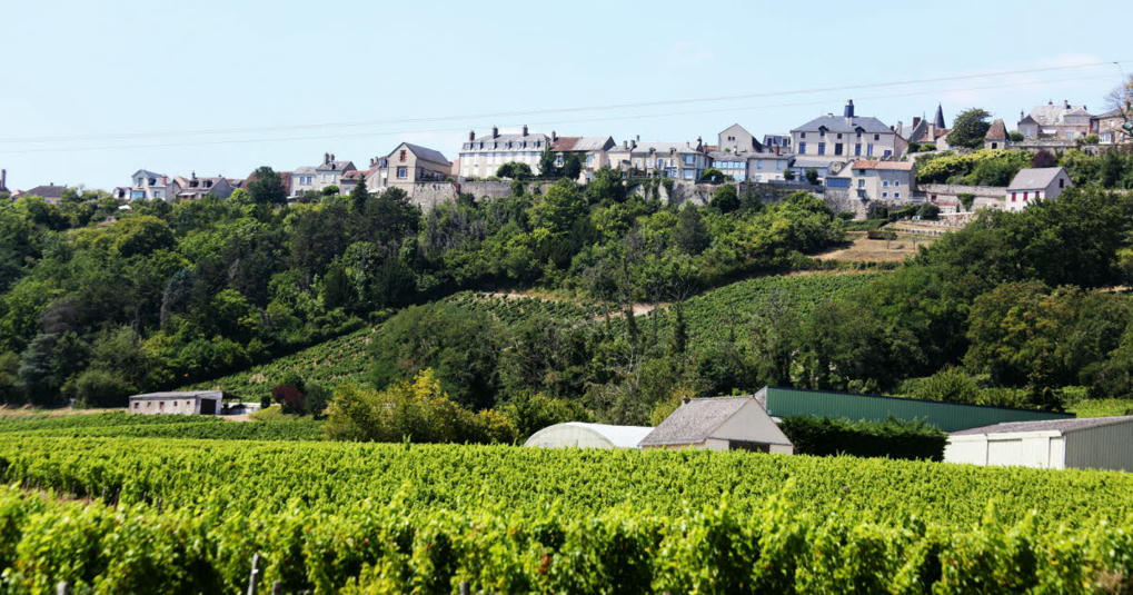 Agriculture. AOP, IGP, Label rouge... quand le ...