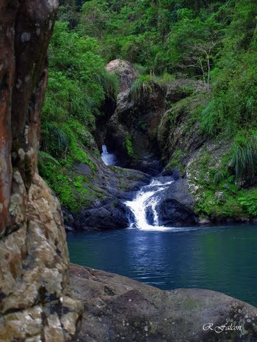 El Jacho | Cuentos de Camino en Puerto Rico
