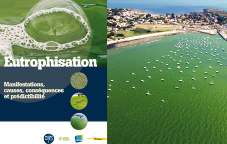 L'Eutrophisation : mieux comprendre pour mieux ...