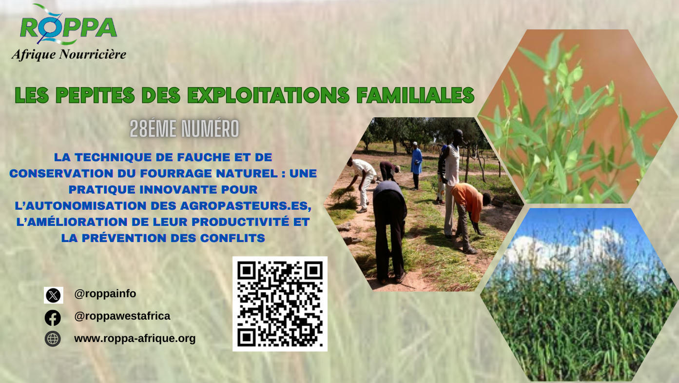 L’art de la fauche et de la conservation ...