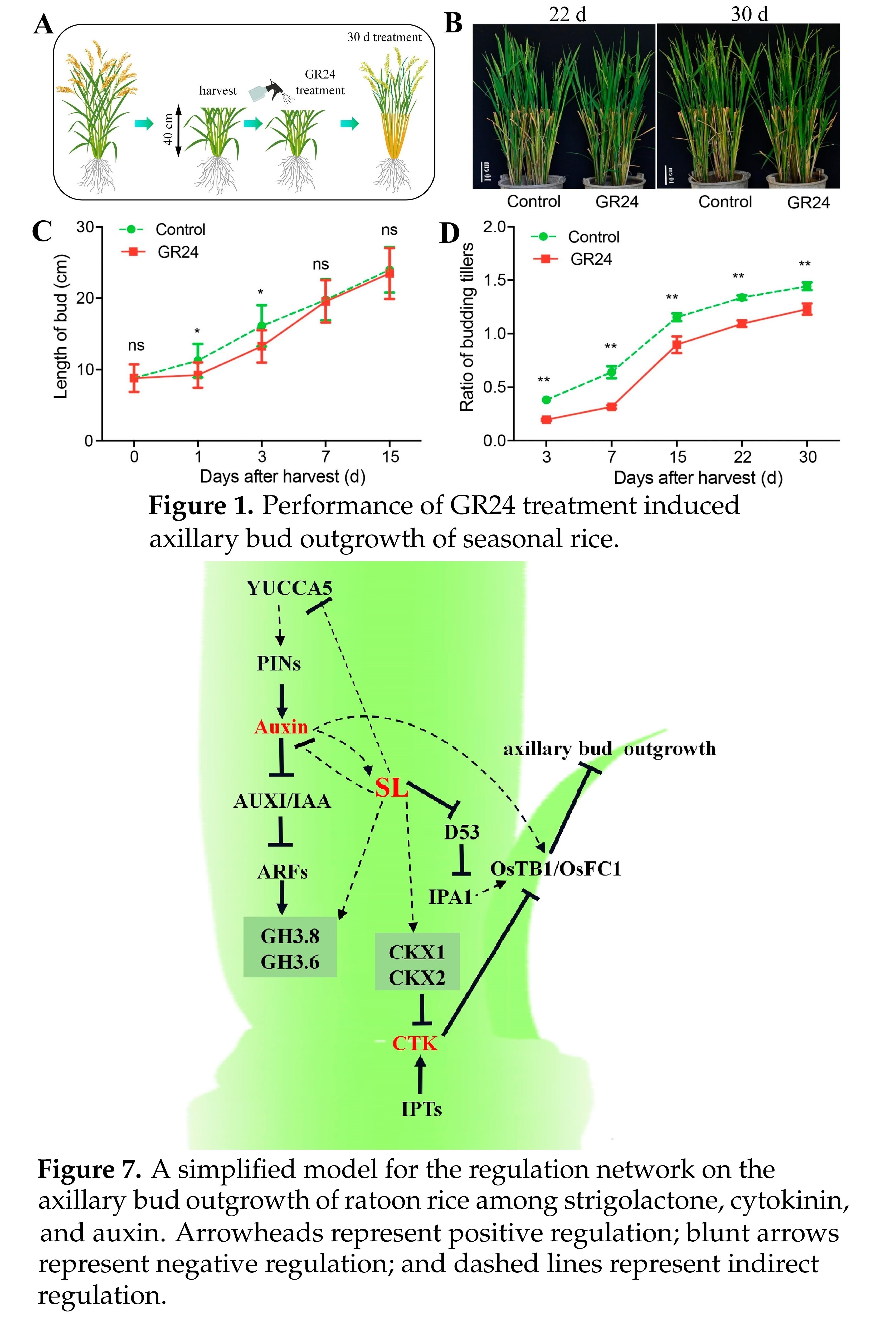 Comparative Transcriptome Analysis Reveals Inhi