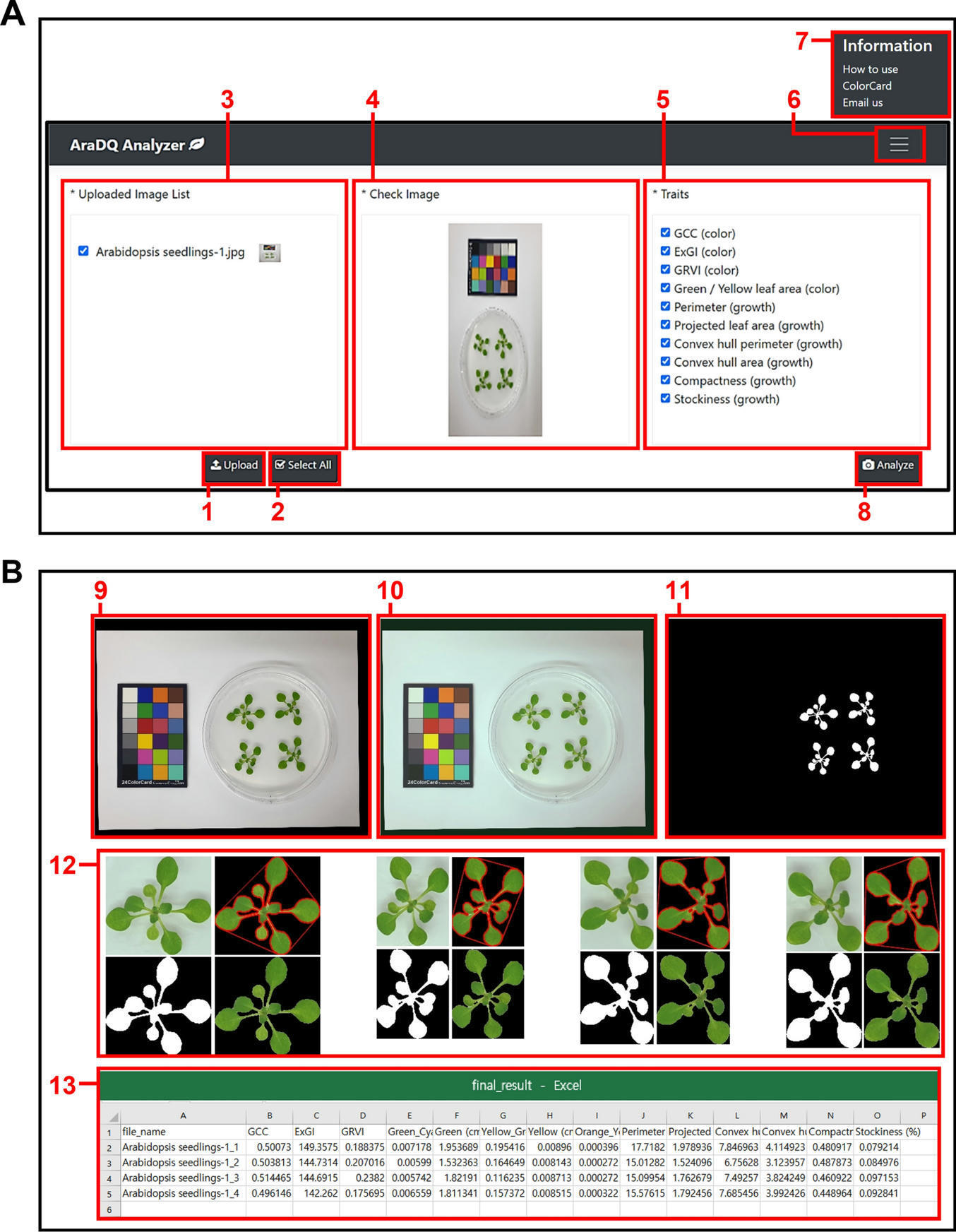 AraDQ: an automated digital phenotyping softwar...