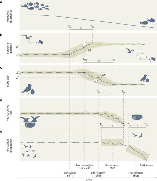 A predictive timeline of wildlife population co...