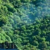 Le prix « Fossile » décern&e...