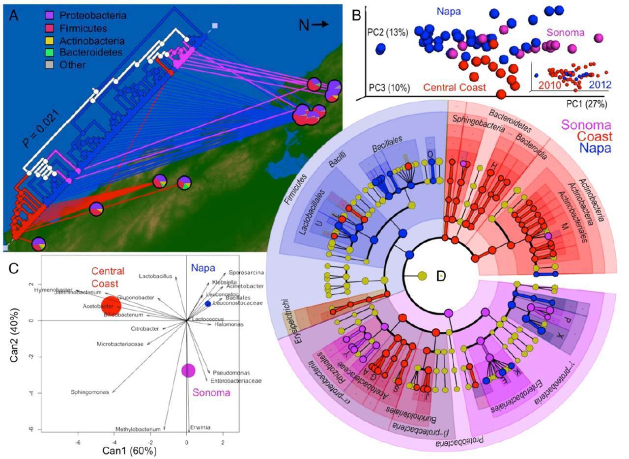 Microbial biogeography of wine grapes is condit...
