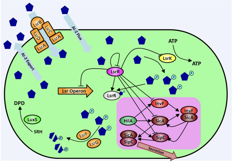 Individual-Based Modeling of Microbial Communit...