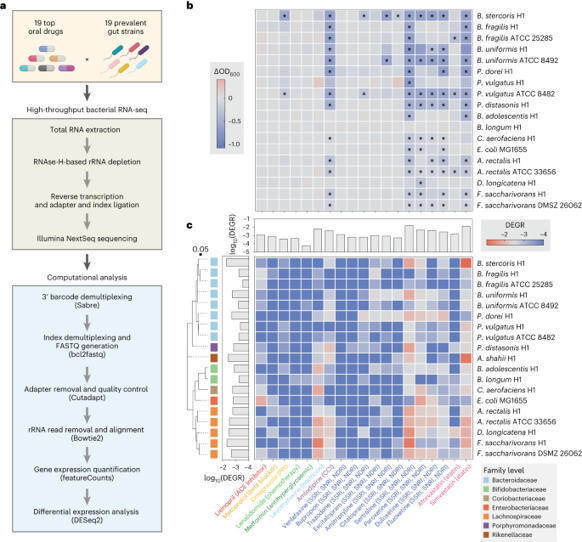 High-throughput transcriptomics of 409 bacteria...