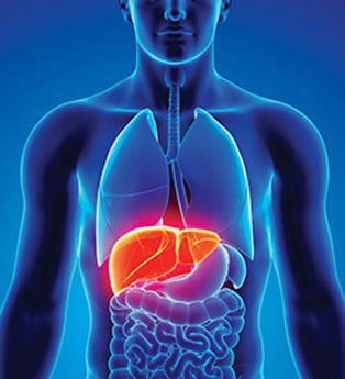 DIY Liver Function Tests: A Guide for Dubai Hom...