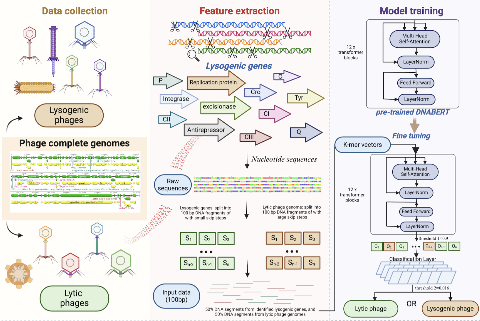 DeepPL: A deep-learning-based tool for the pred...