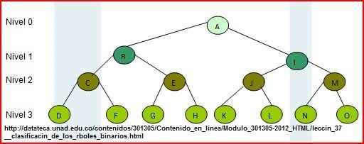 Arboles Binario | Estructuras de datos | Scoop...