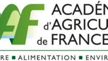 La classification des aliments, selon leur degr...