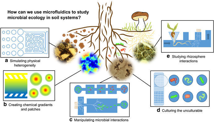 Build your own soil: exploring microfluidics to...