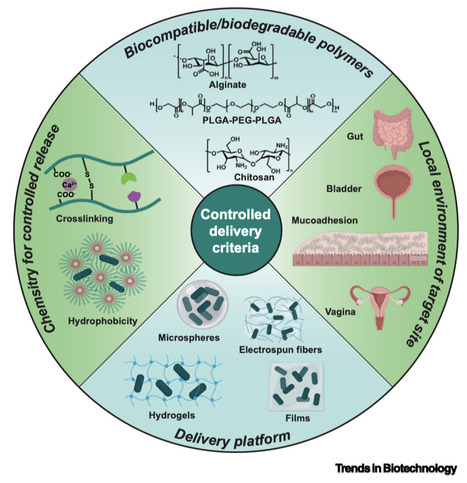Defining the biogeographical map and potential ...