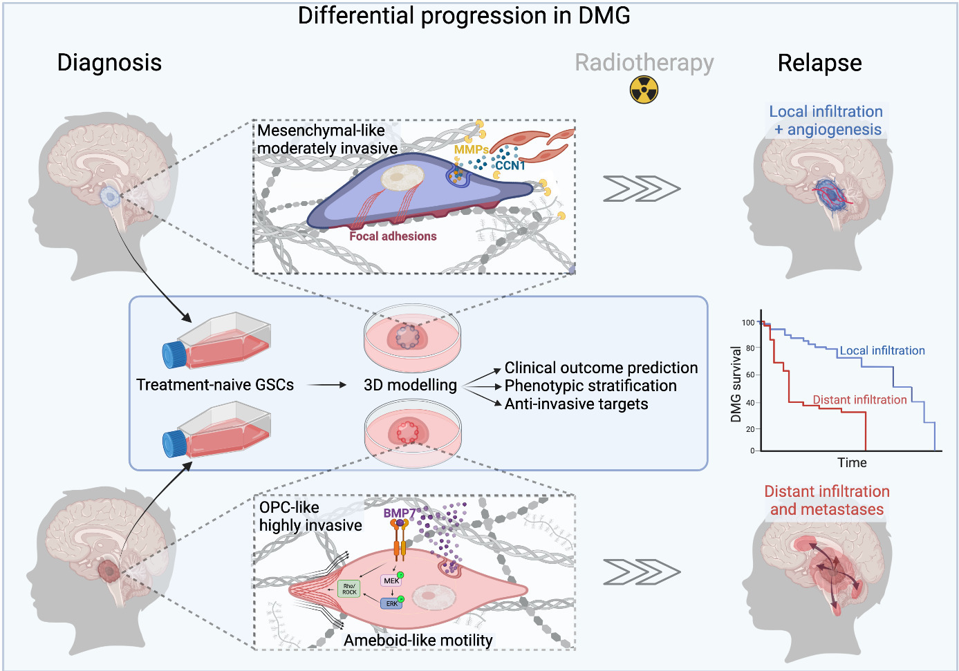 Mécanismes responsables de l'invasion de...