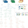 Phage Portal Proteins Suppress Bacterial String...