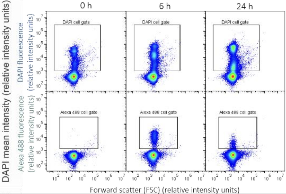 A double-staining automated flow cytometry meth...