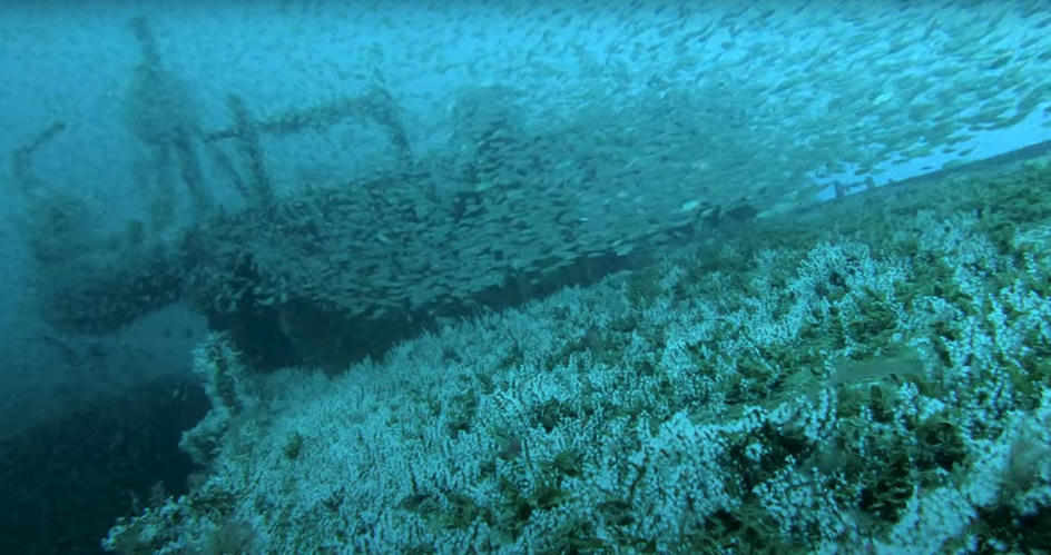 Design, Distribution of Artificial Reef Structu...
