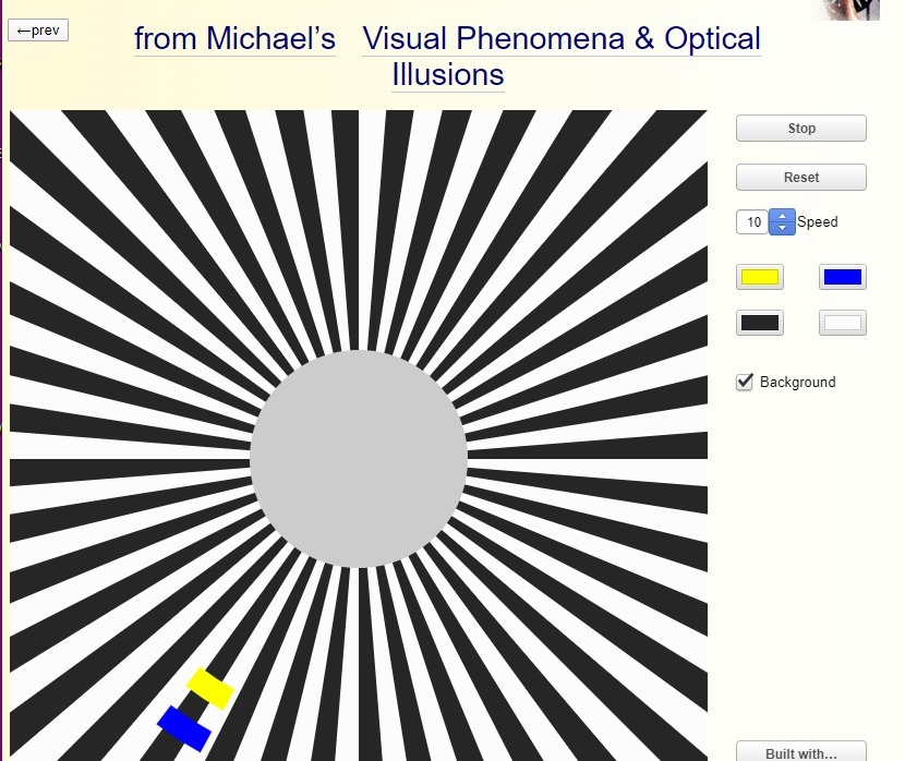 “Stepping feet” Illusion (circular)...