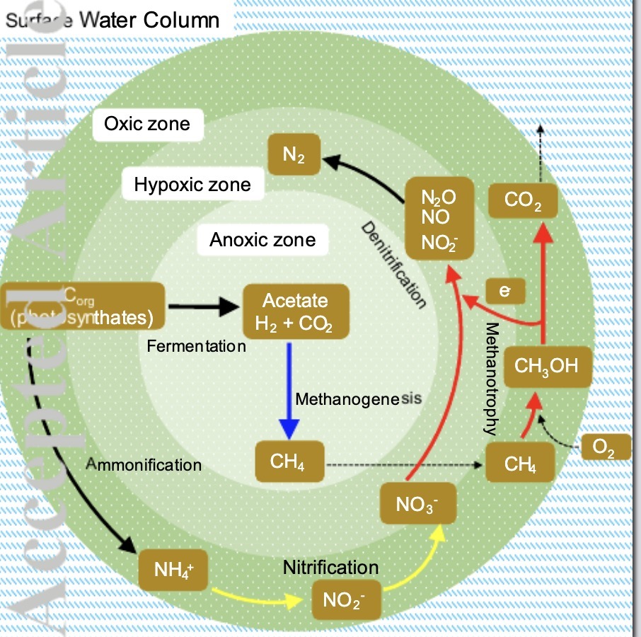 Global co‐occurrence of methanogenic archaea an...