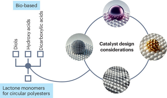 Production of bio-based lactones as monomers fo...