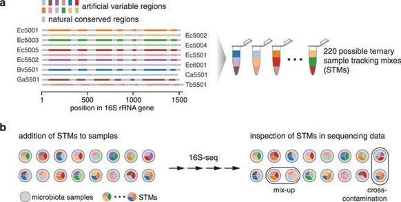 Sample tracking in microbiome community profili...