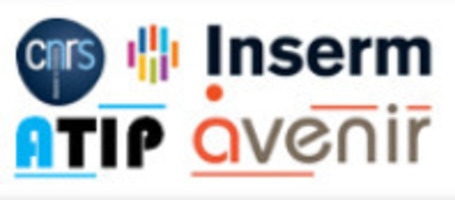 Appels à projets ATIP-Avenir 2024 | Life...