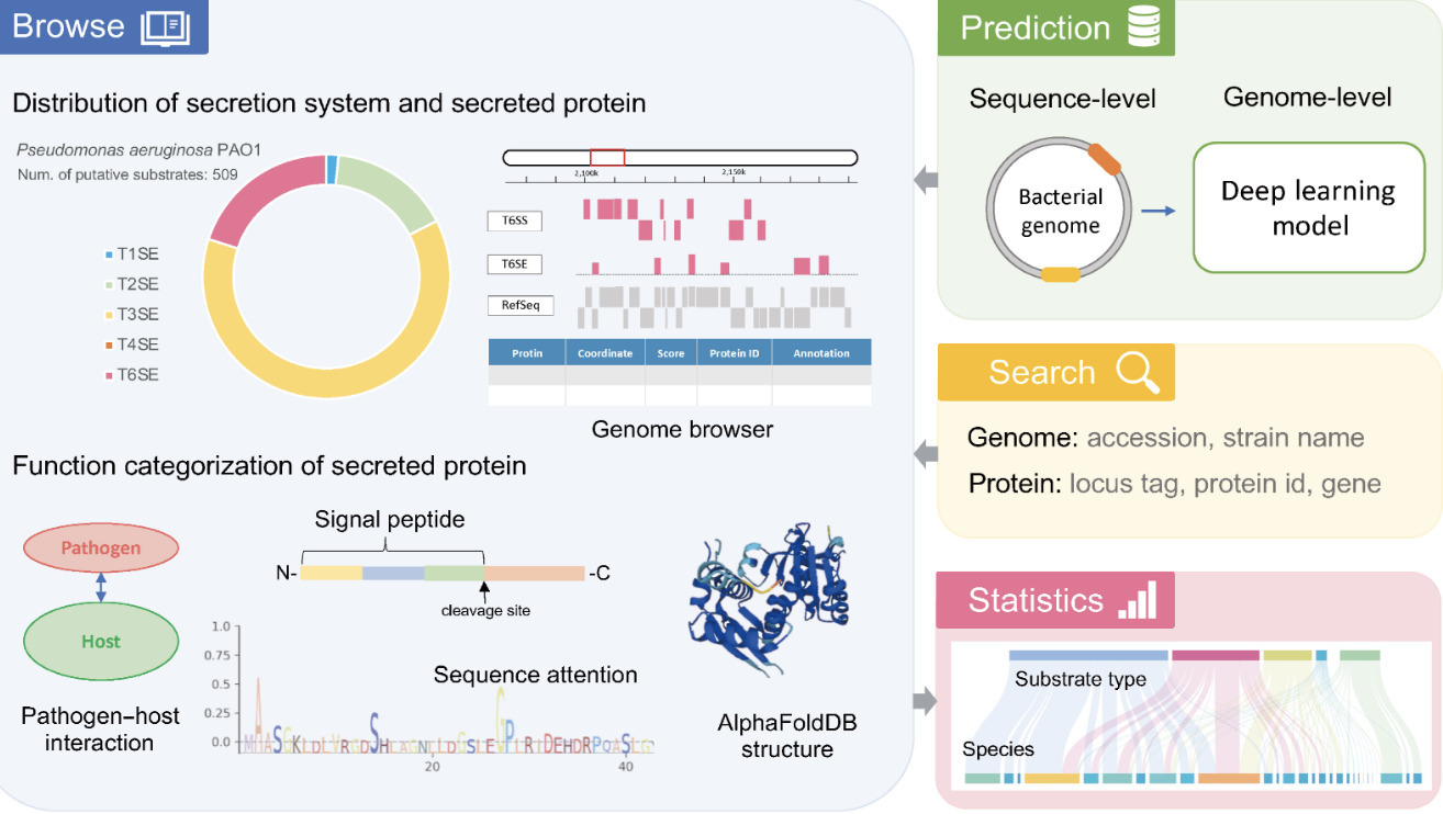 DeepSecE: A Deep-Learning-Based Framework for M...