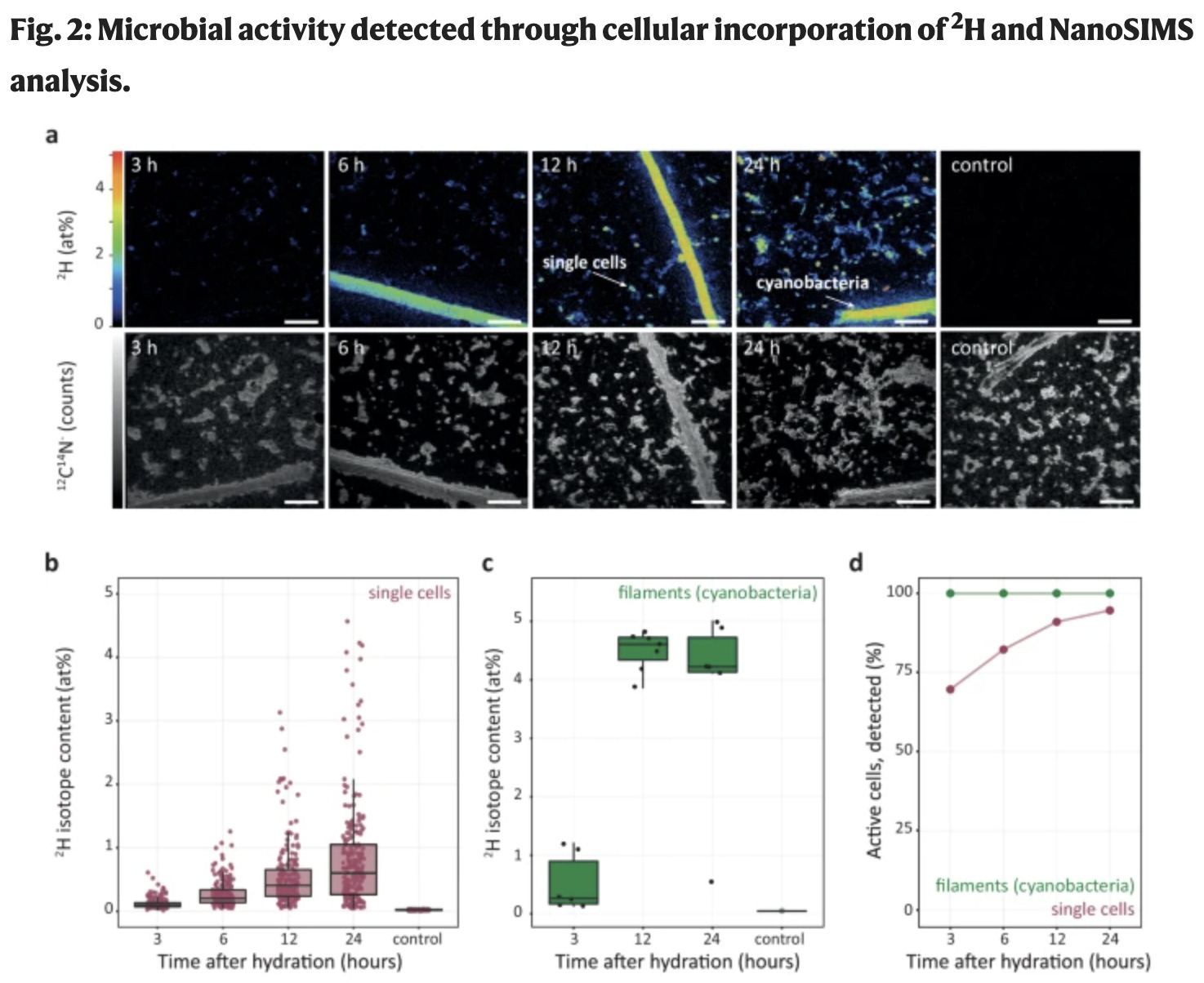 Survival and rapid resuscitation permit limited...