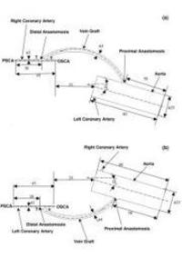 René Favaloro: el argentino más m...