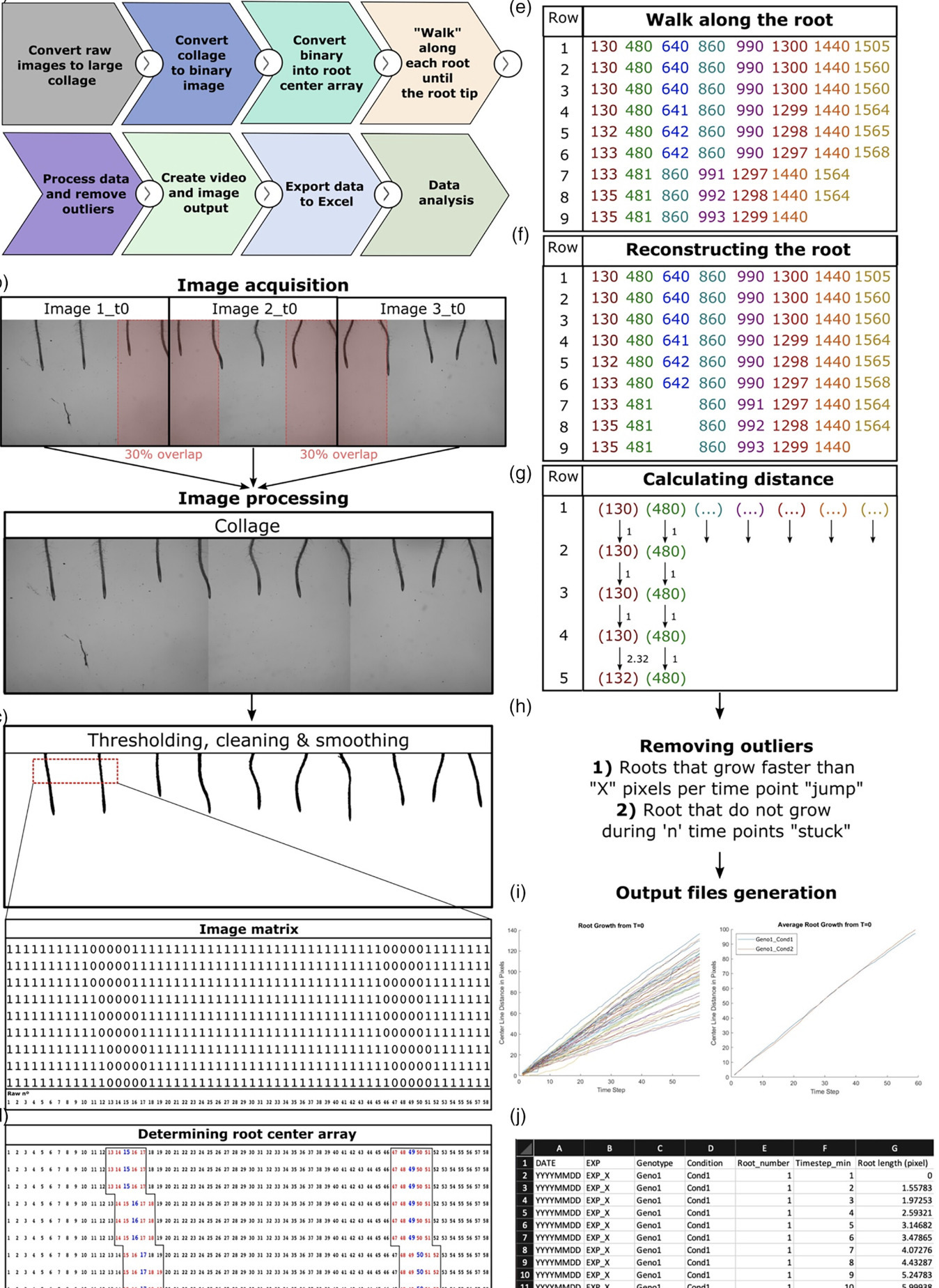 Root Walker: an automated pipeline for large sc...